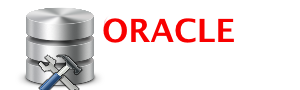 Oracle DBA Learn Oracle 11g / 12
